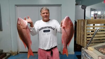 What The Fish Rolls – Rolls and more